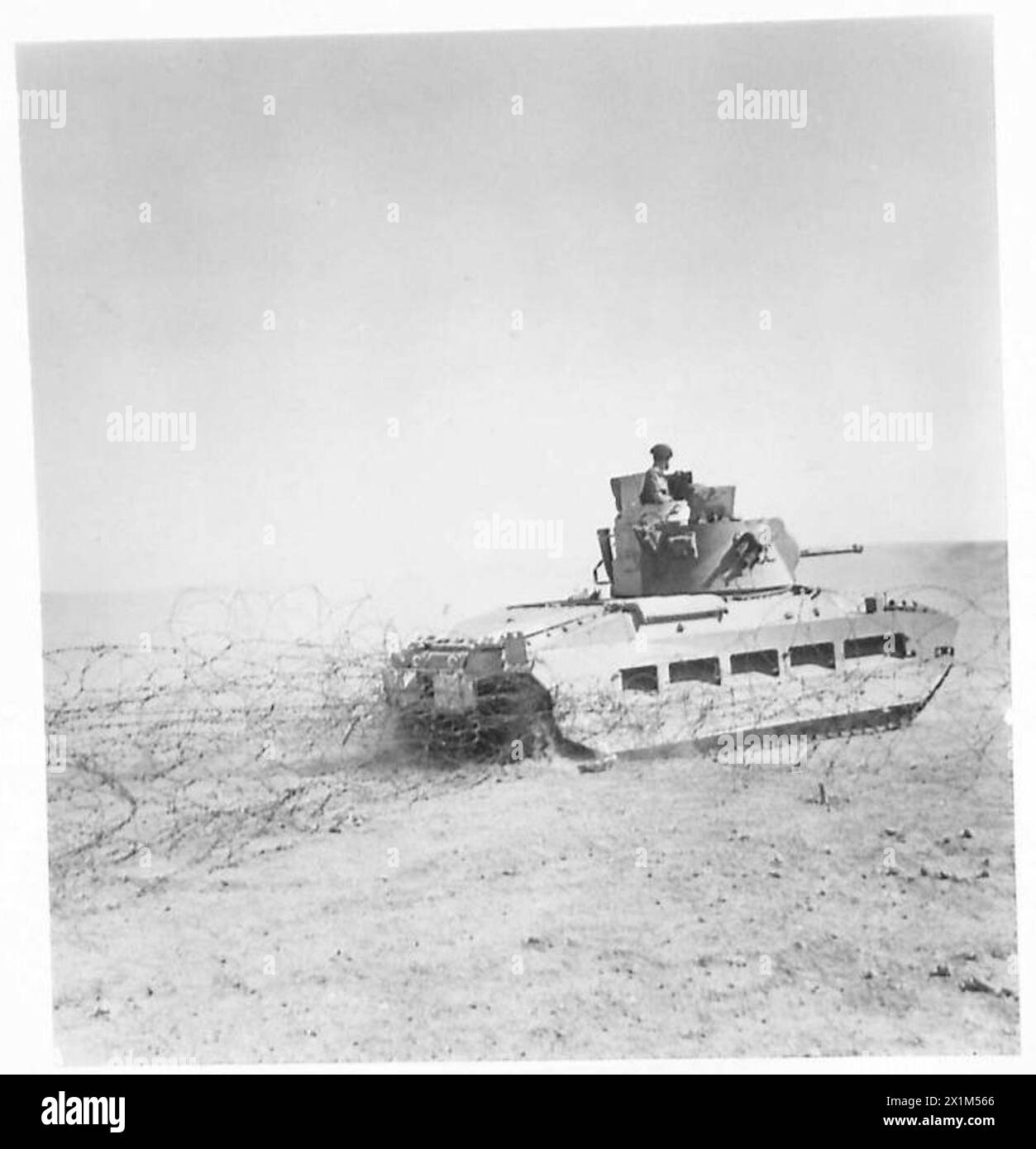 A Matilda tank navigates through concertina wire fences during a ...