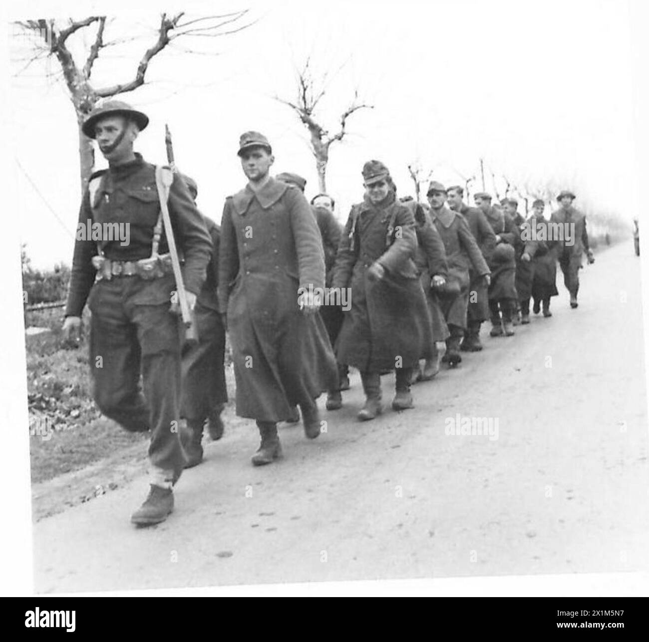 Following the Allied landings south of Rome, captured soldiers from the ...