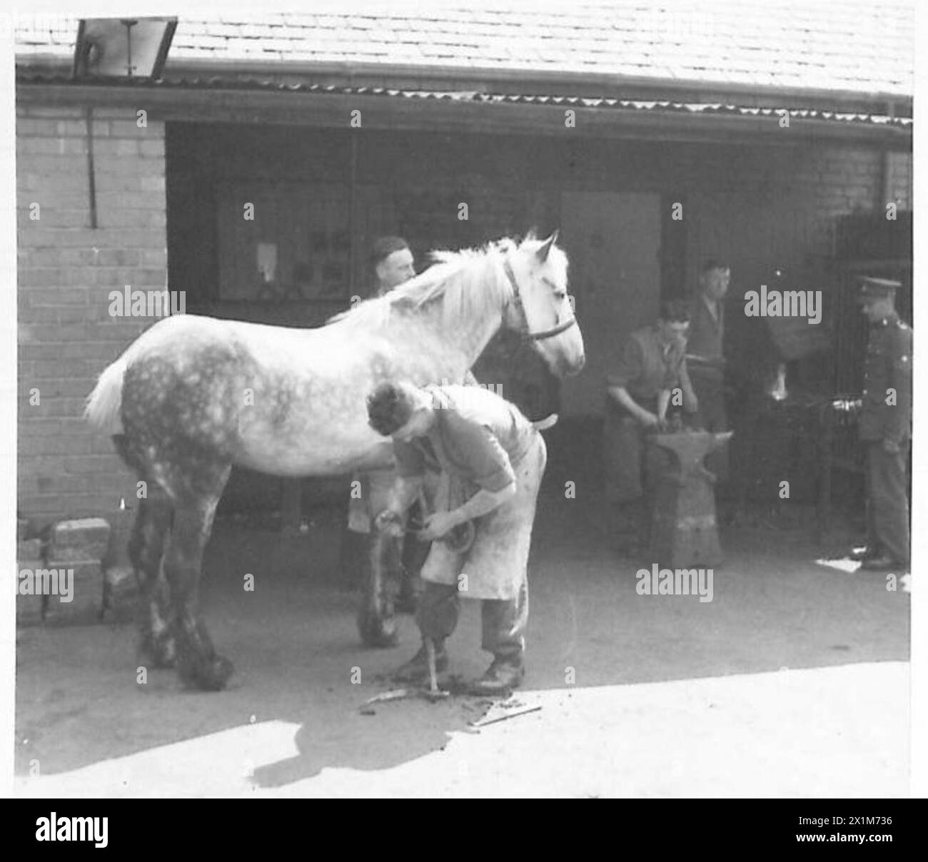 British army farriers hi-res stock photography and images - Alamy