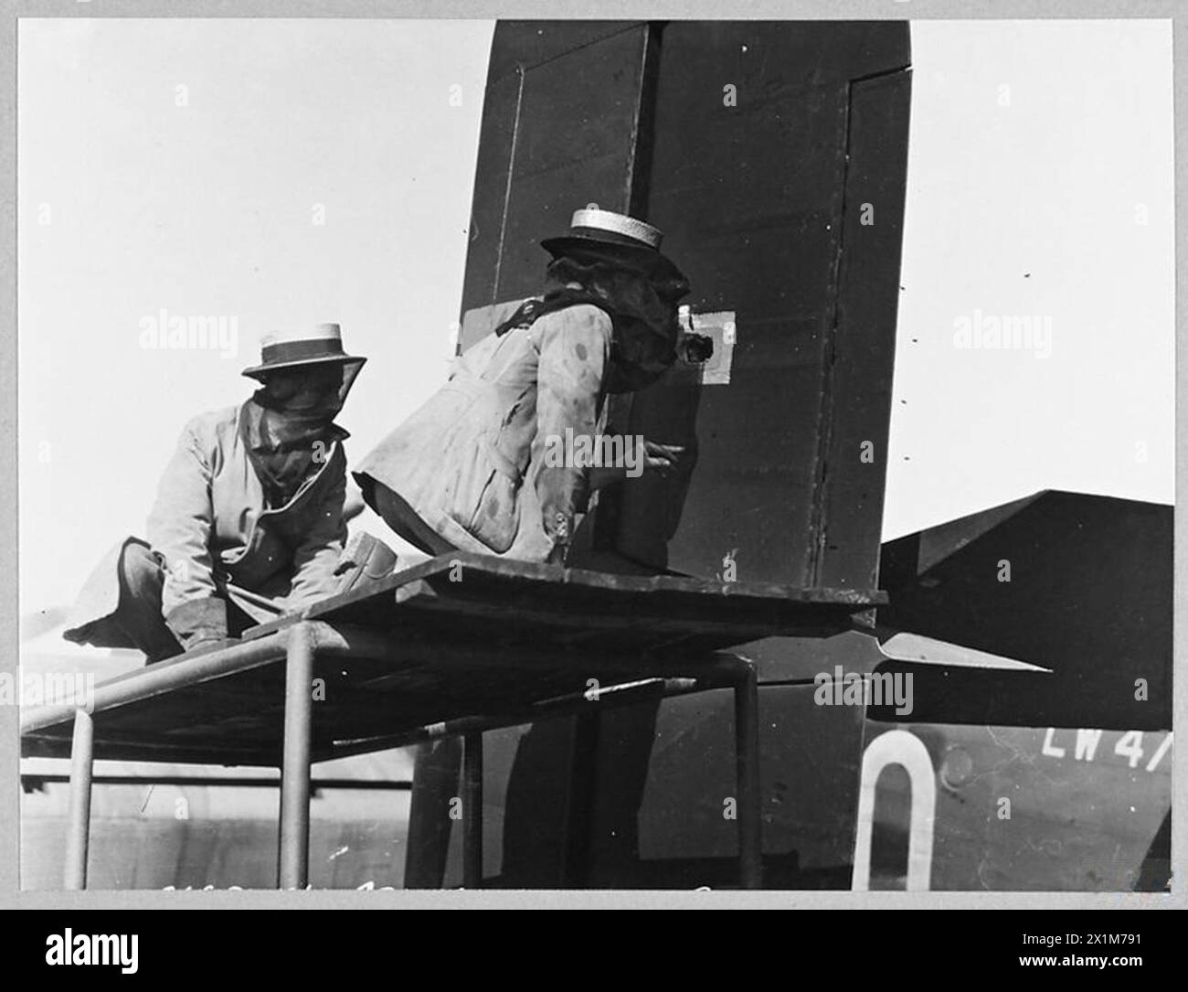 BEES IN A BOMBER : "Q" FOR QUEENIE - 13291 Picture (issued 1944) shows ...