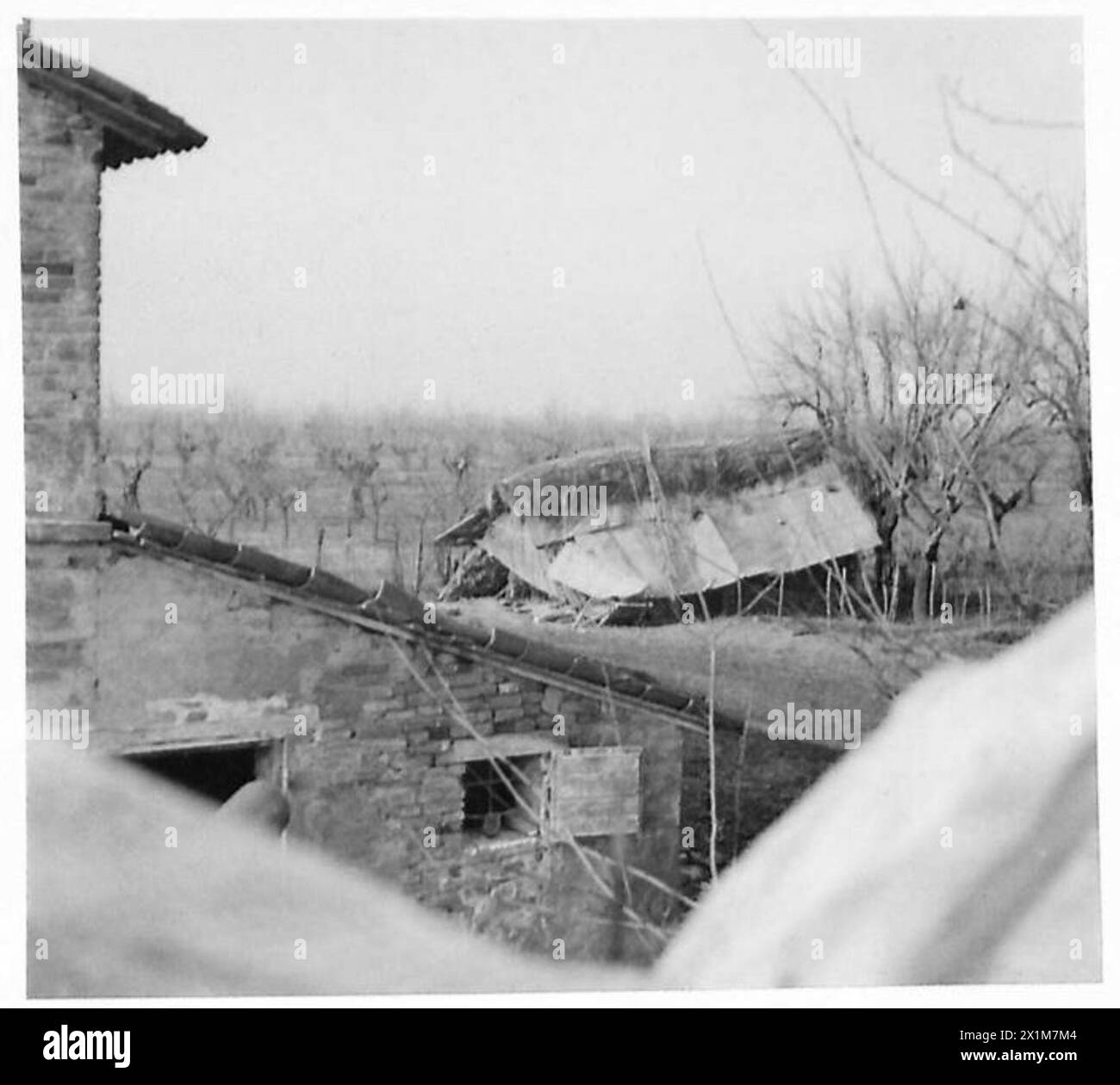 EIGHTH ARMY - Photograph taken from the turret of the Sherman tank ...