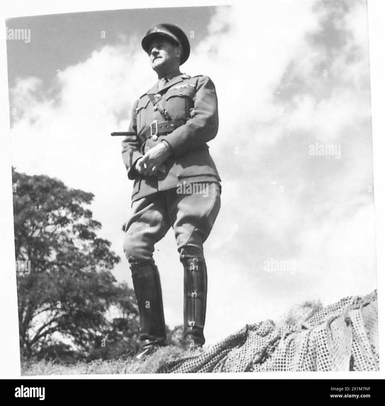 Ozanne Cut Out Stock Images & Pictures - Alamy