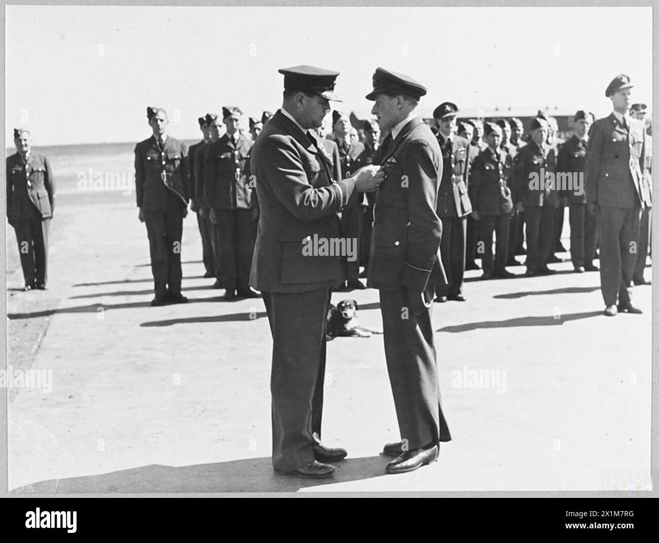 D.F.C. FOR BELGIAN FIGHTER PILOT WHO "DOWNED" FOUR ENEMY 'PLANES ...