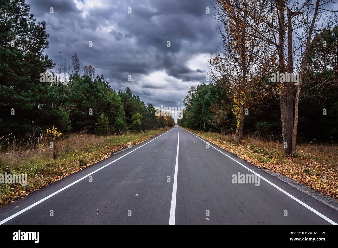 Perspective view of along the road, autumn, dramatic clouds on ...