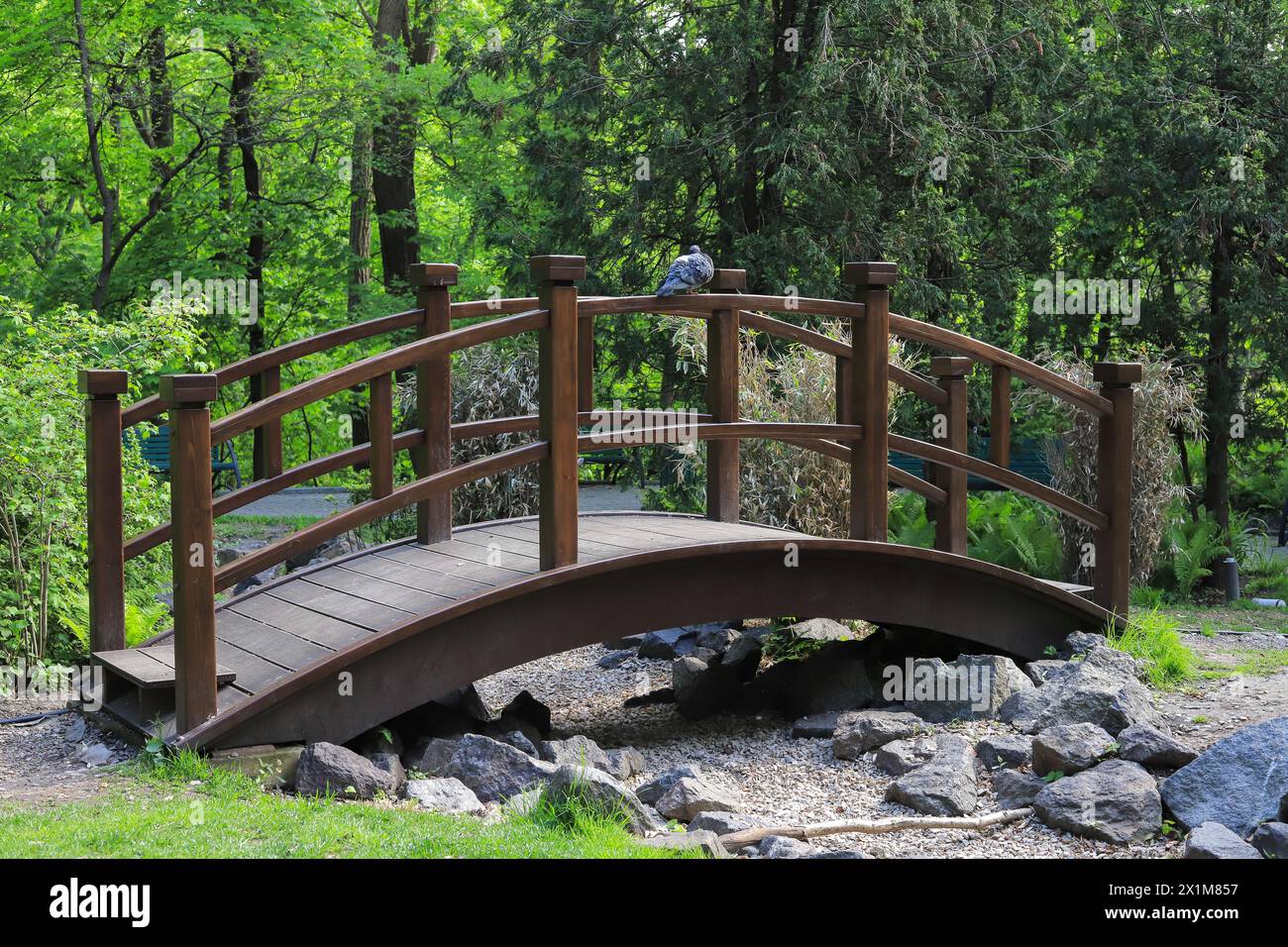 Wooden bridge park hi-res stock photography and images - Alamy