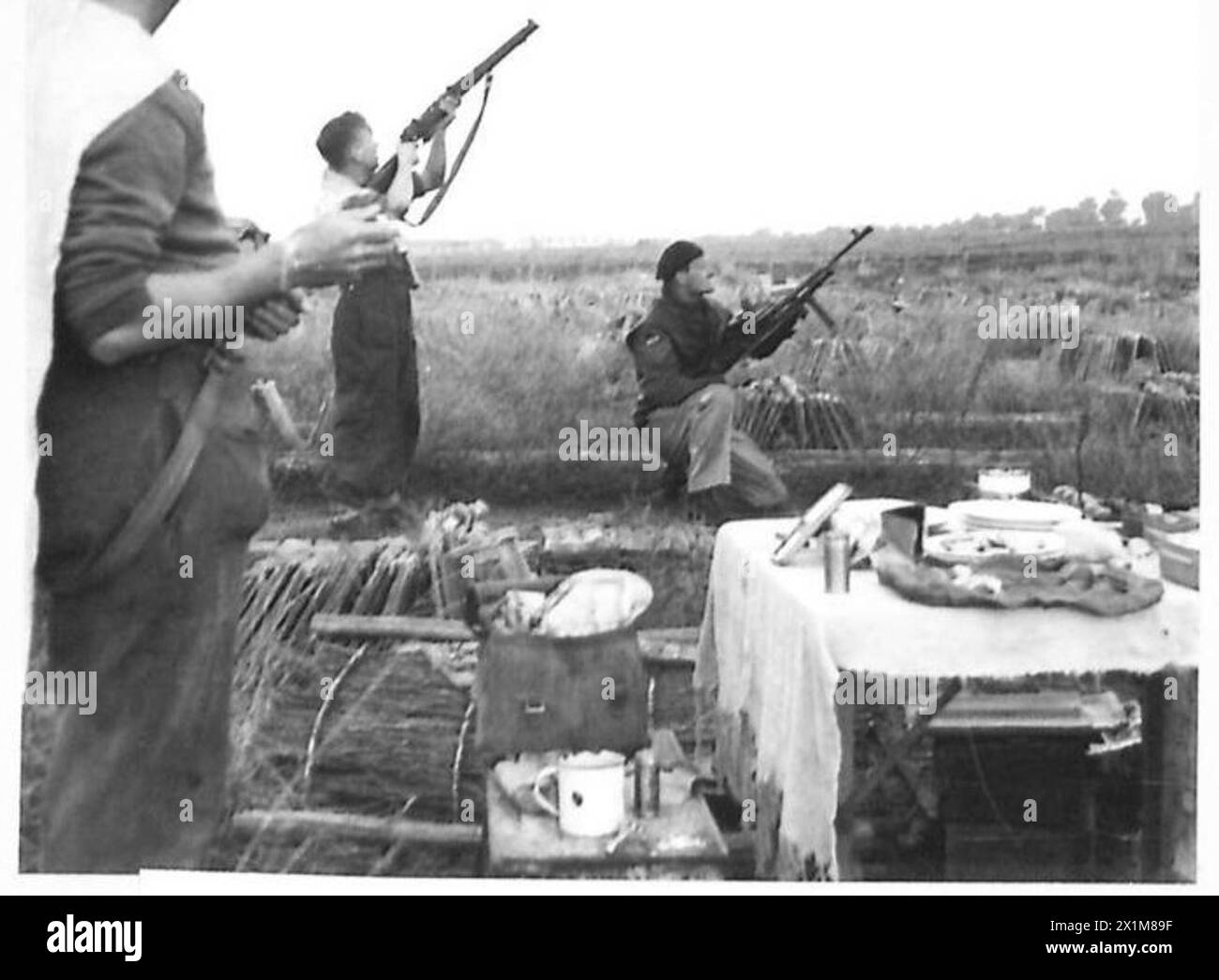 A small t Cut Out Stock Images & Pictures - Alamy