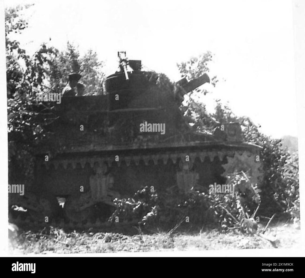 S p a b Cut Out Stock Images & Pictures - Alamy