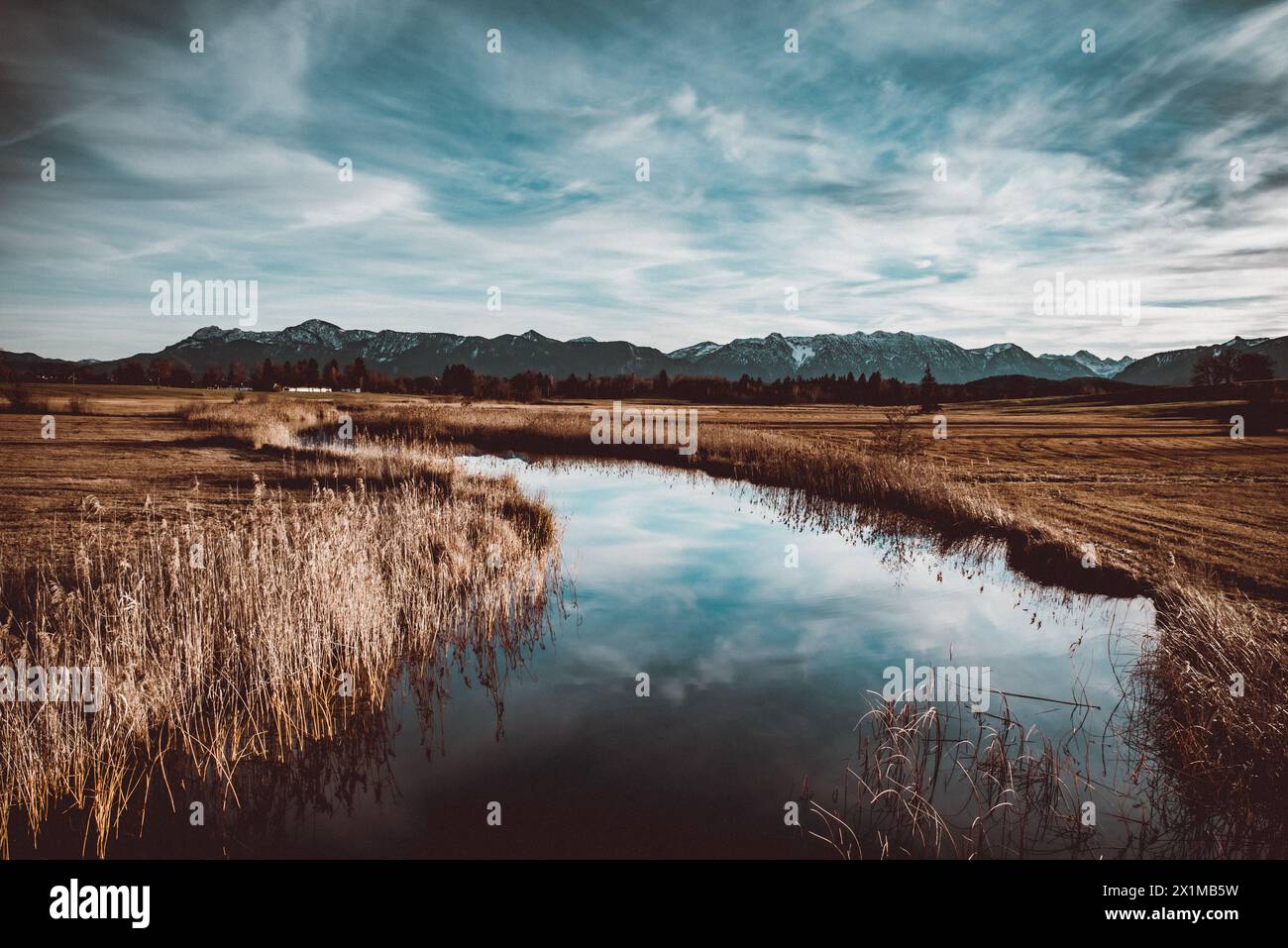 Beautiful swamps river in hi-res stock photography and images - Alamy