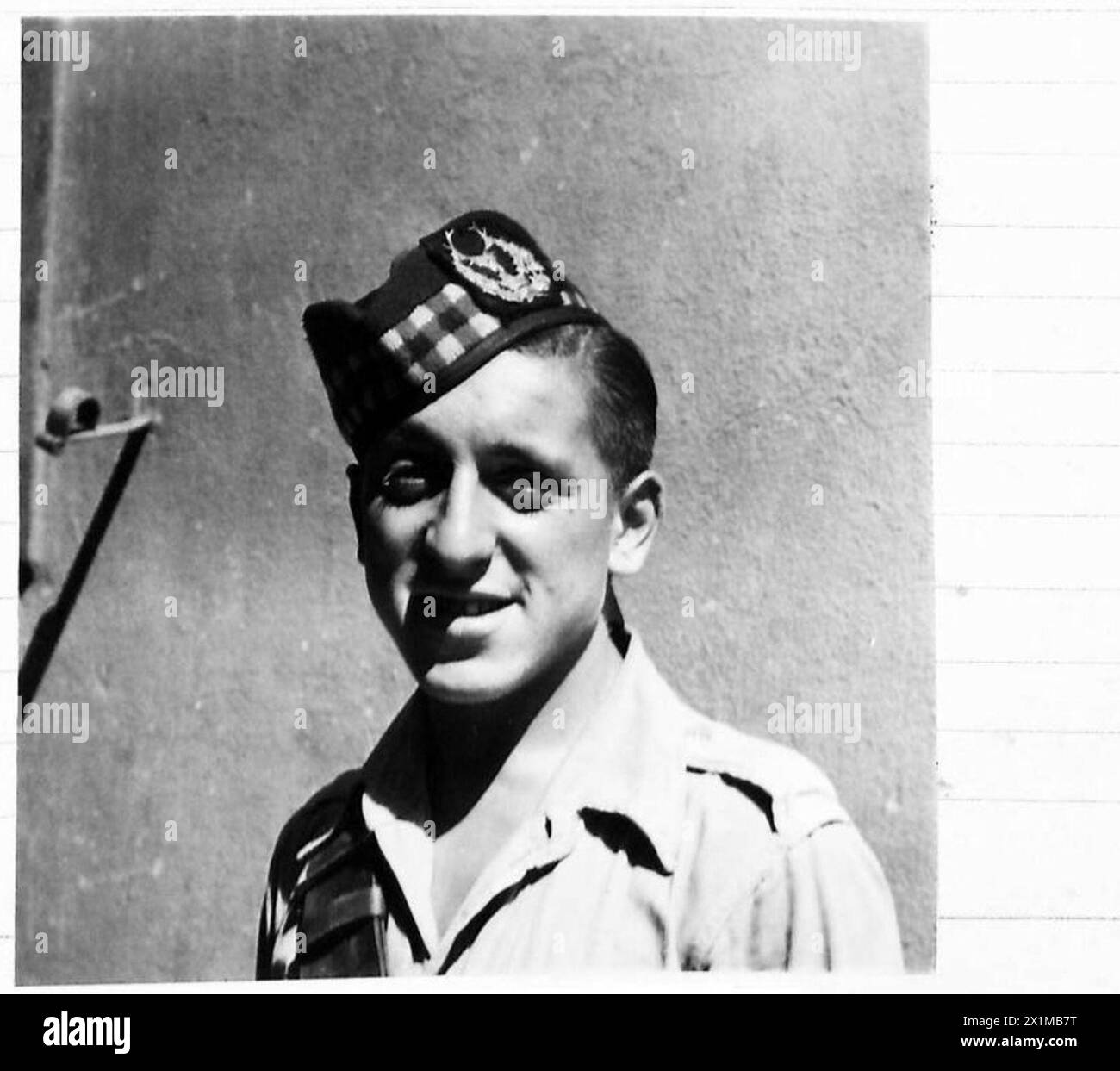 My ellison Cut Out Stock Images & Pictures - Alamy