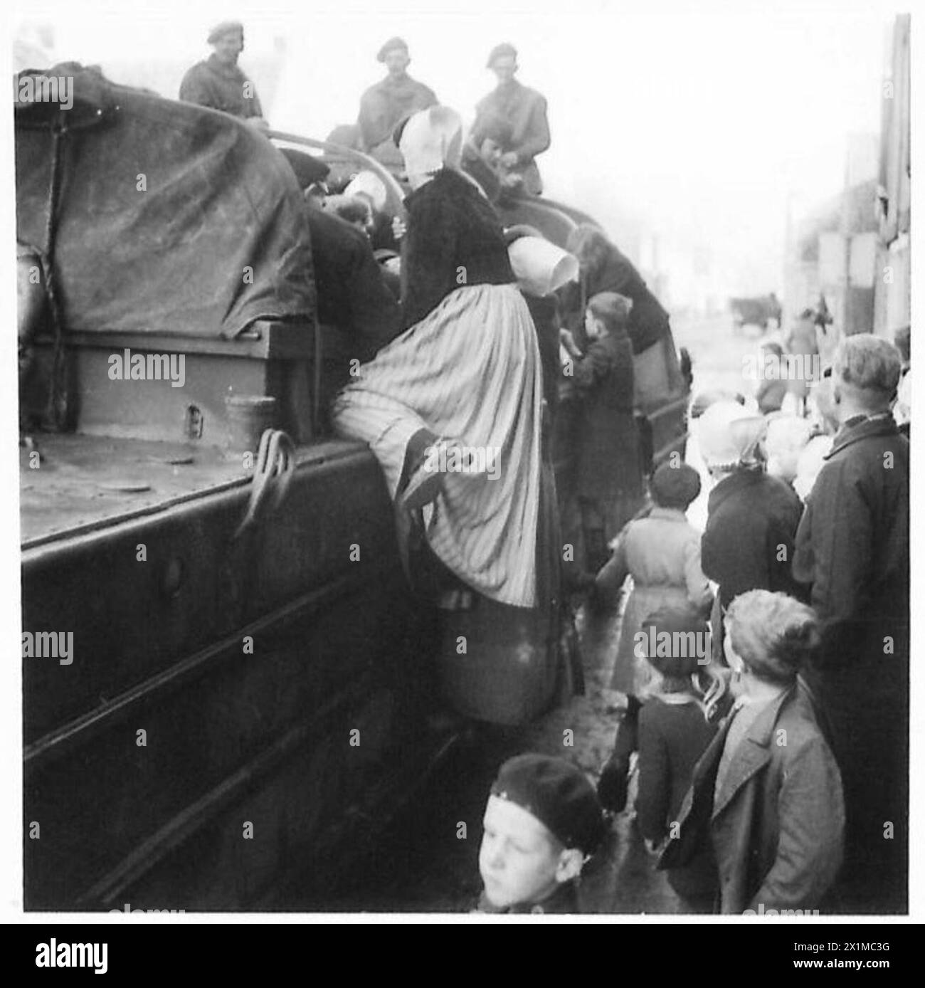 Duck under Cut Out Stock Images & Pictures - Alamy