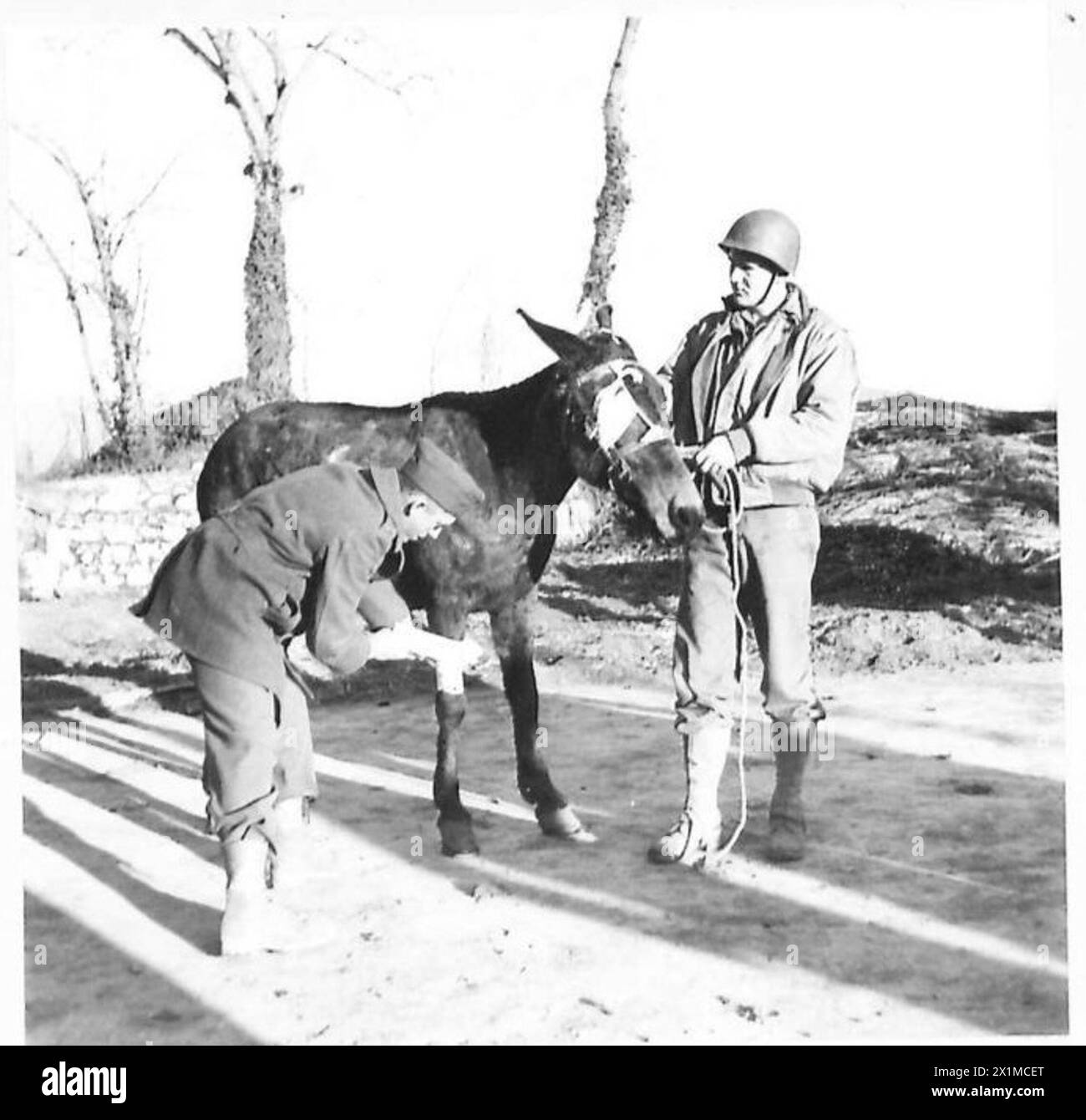 Lieutenant W.D. Dean and Private M. Baker of the British Army remove ...