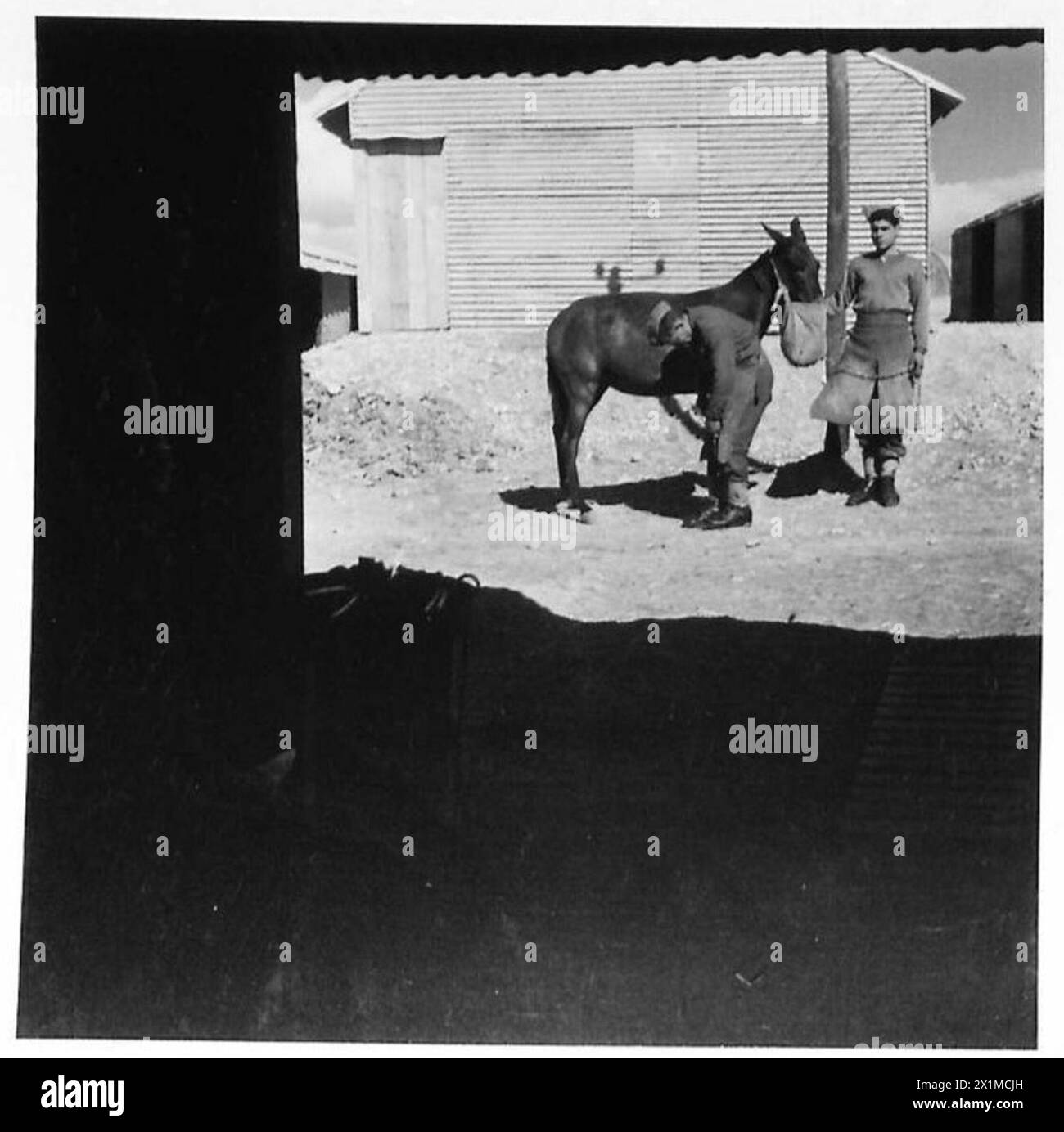 A blacksmith working in the Cypriot Mule Corps, British Army Stock ...