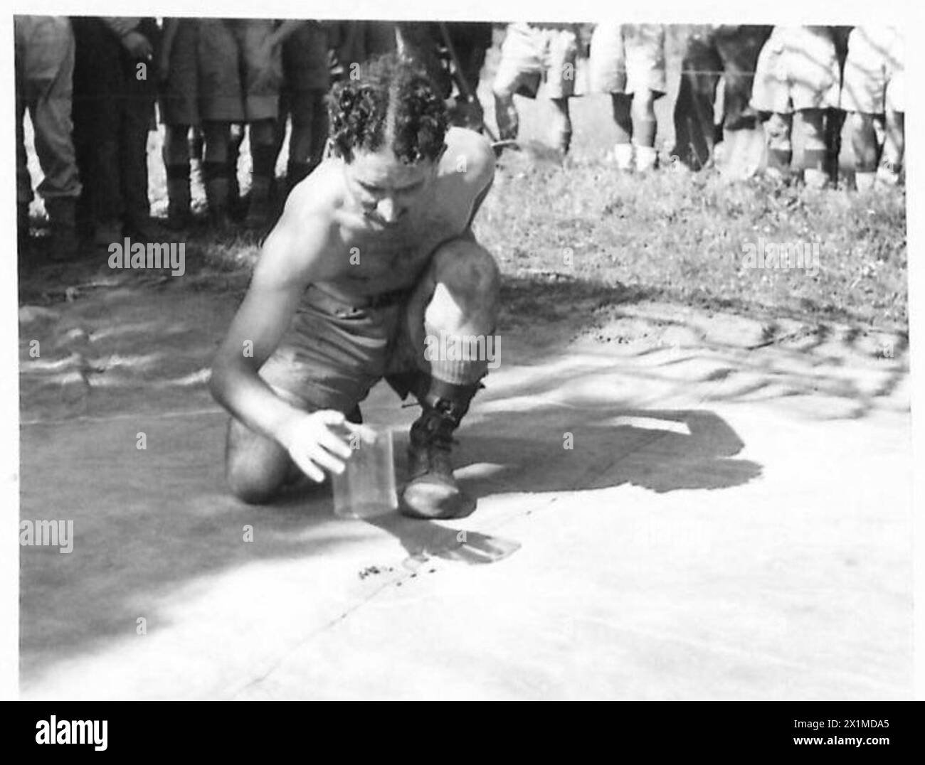 Lance Corporal Goody releases beetles from under a glass jar to begin a ...