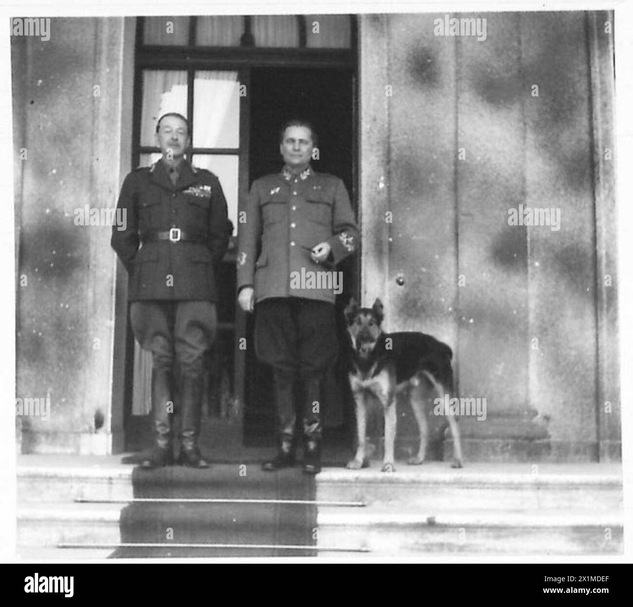Field Marshal Alexander meets Marshal Tito on the steps of the White ...