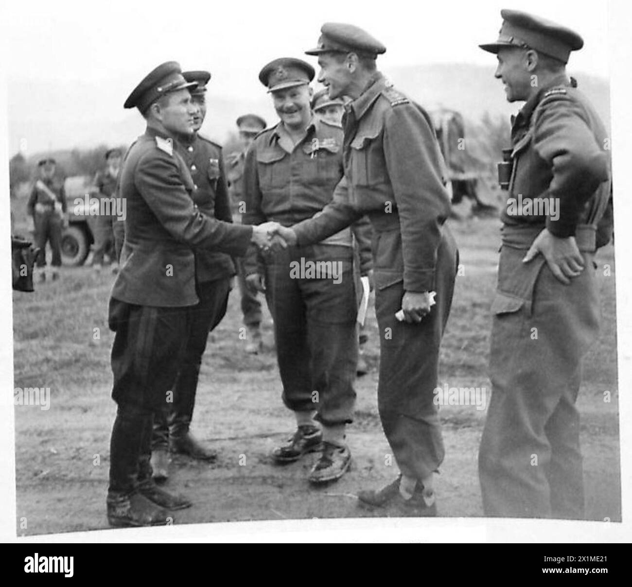 Major genera hi-res stock photography and images - Alamy