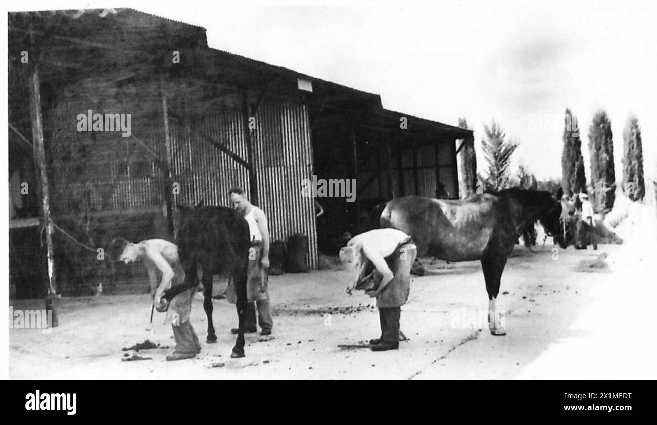 Farriers work hi-res stock photography and images - Alamy