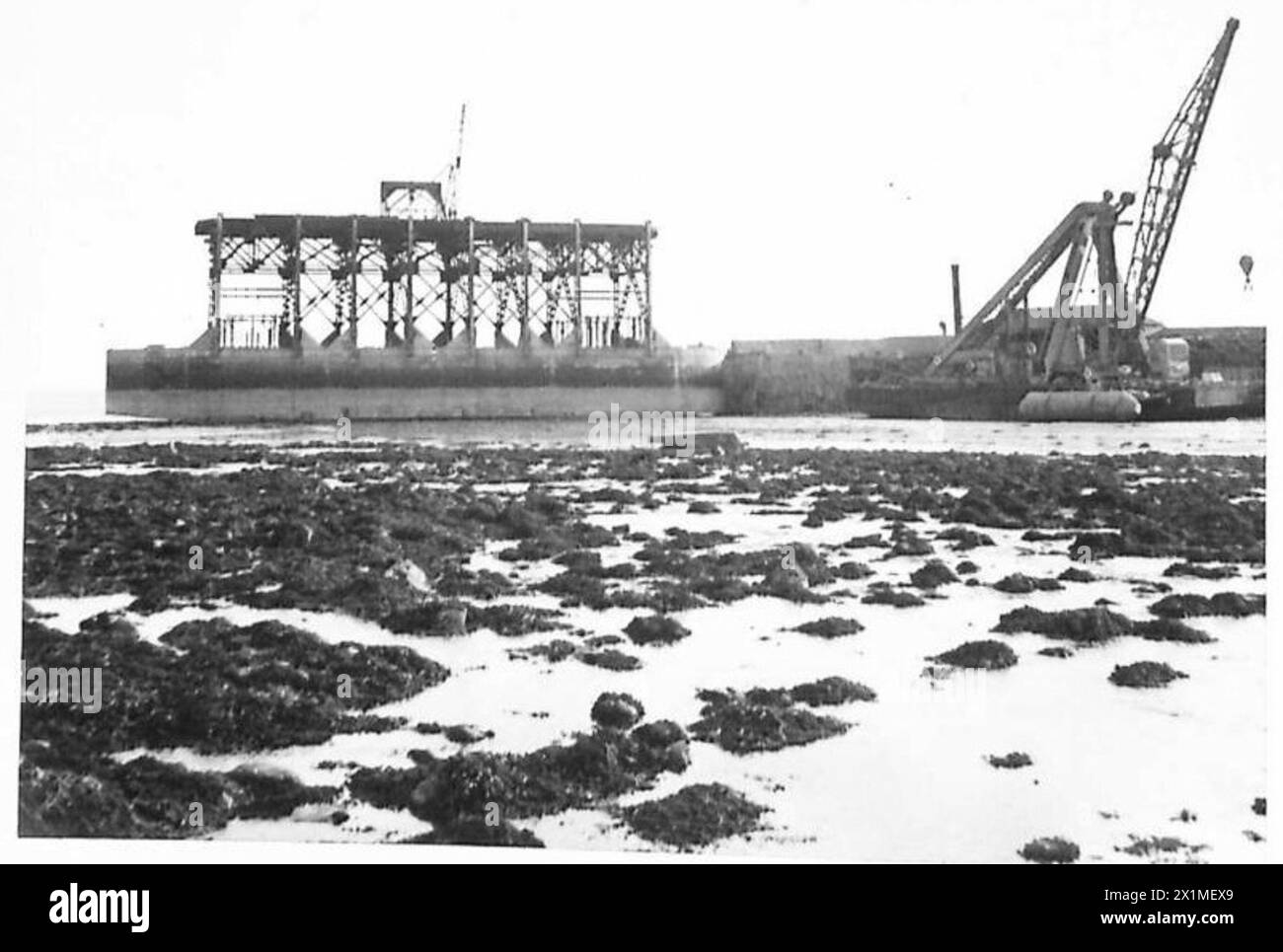 SPECIAL ASSIGNMENT FOR D.T.N. - The Hippo in position at the quayside ...