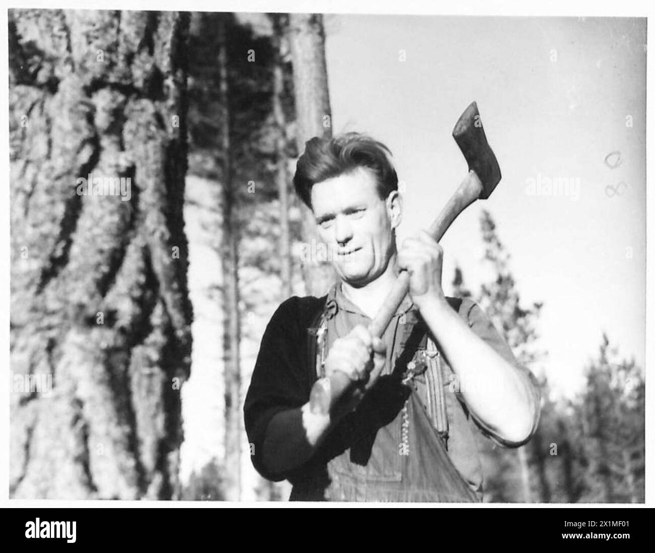 Roles within Cut Out Stock Images & Pictures - Alamy