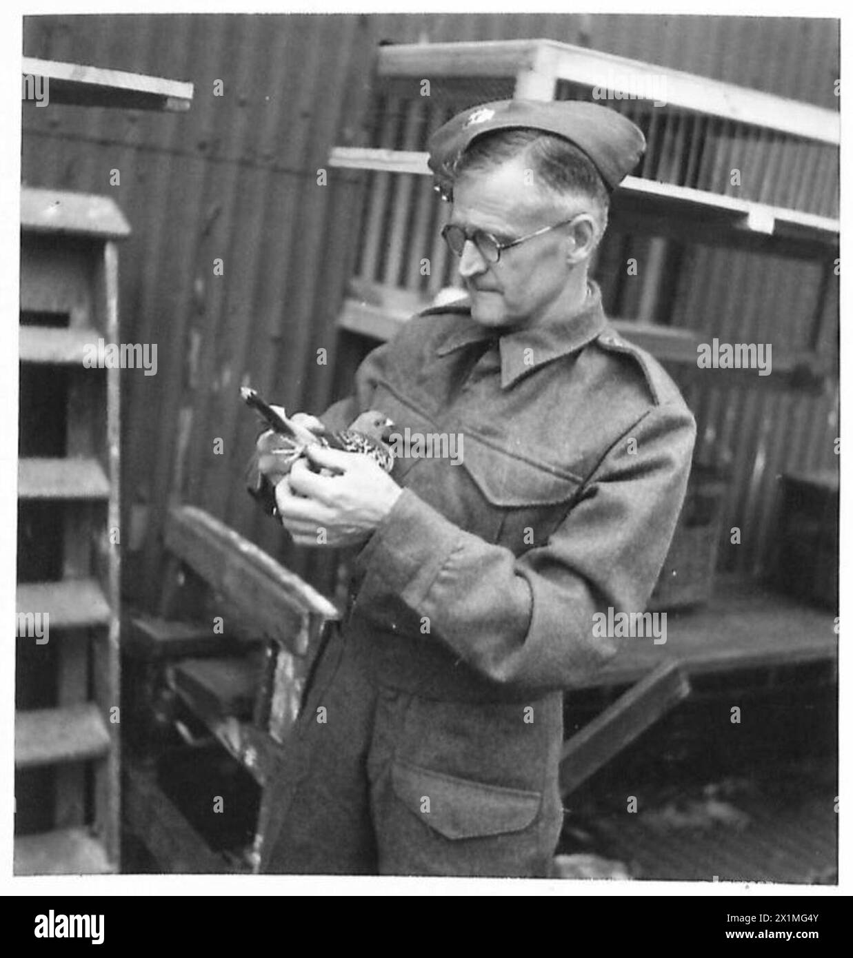 HOME GUARD DEFEND AERODROME - A Home Guard attaching a message to a ...