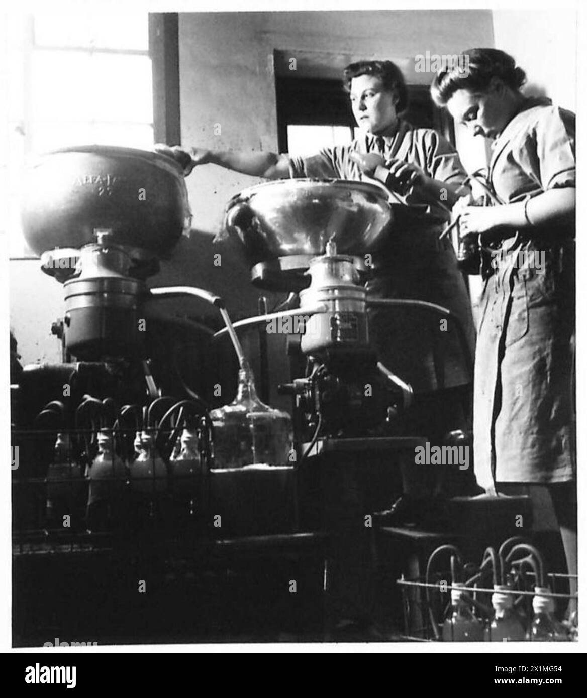 THE ARMY BLOOD TRANSFUSION SERVICE - Blood consists of liquid plasma in ...