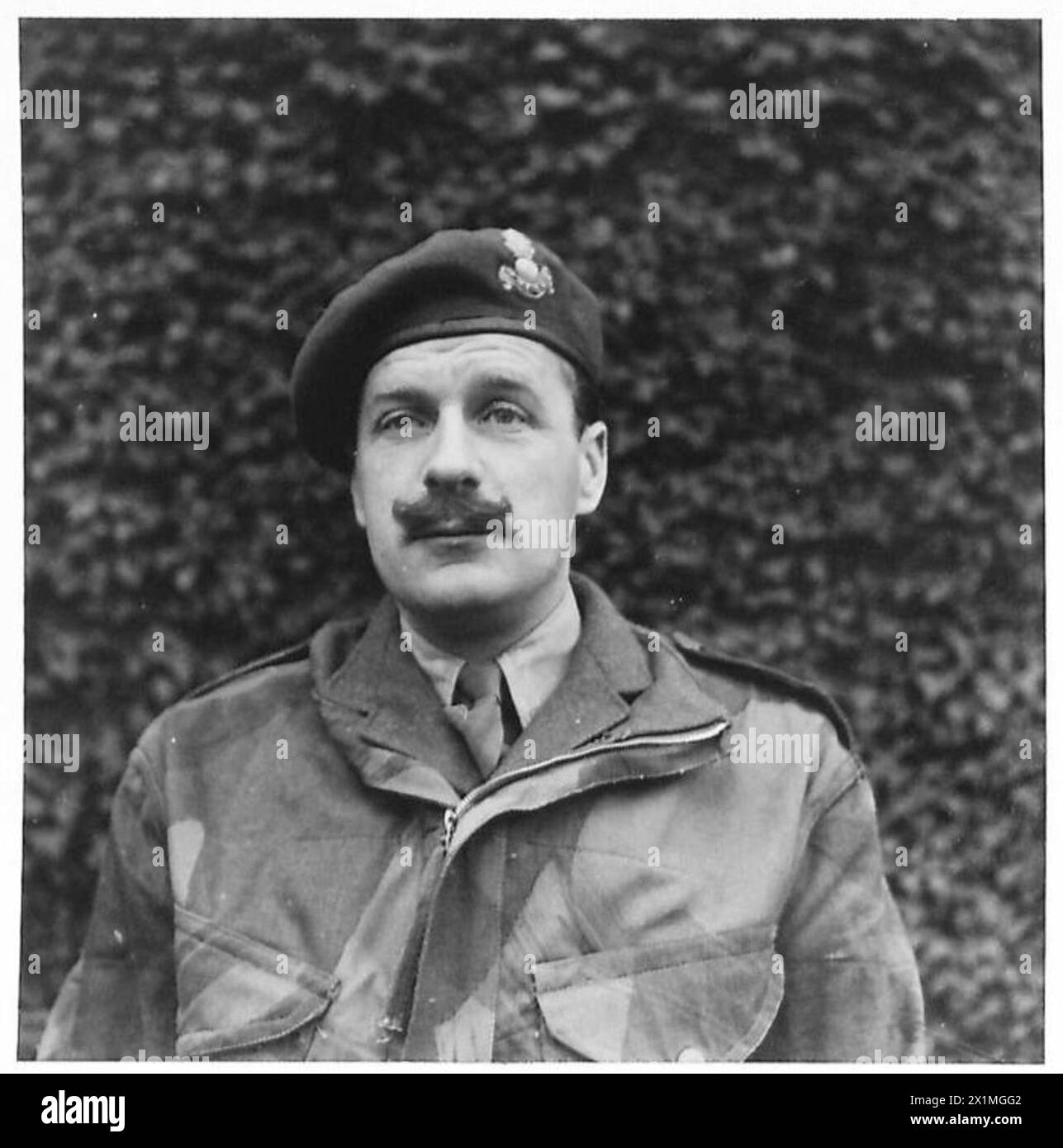 L branch hi-res stock photography and images - Alamy