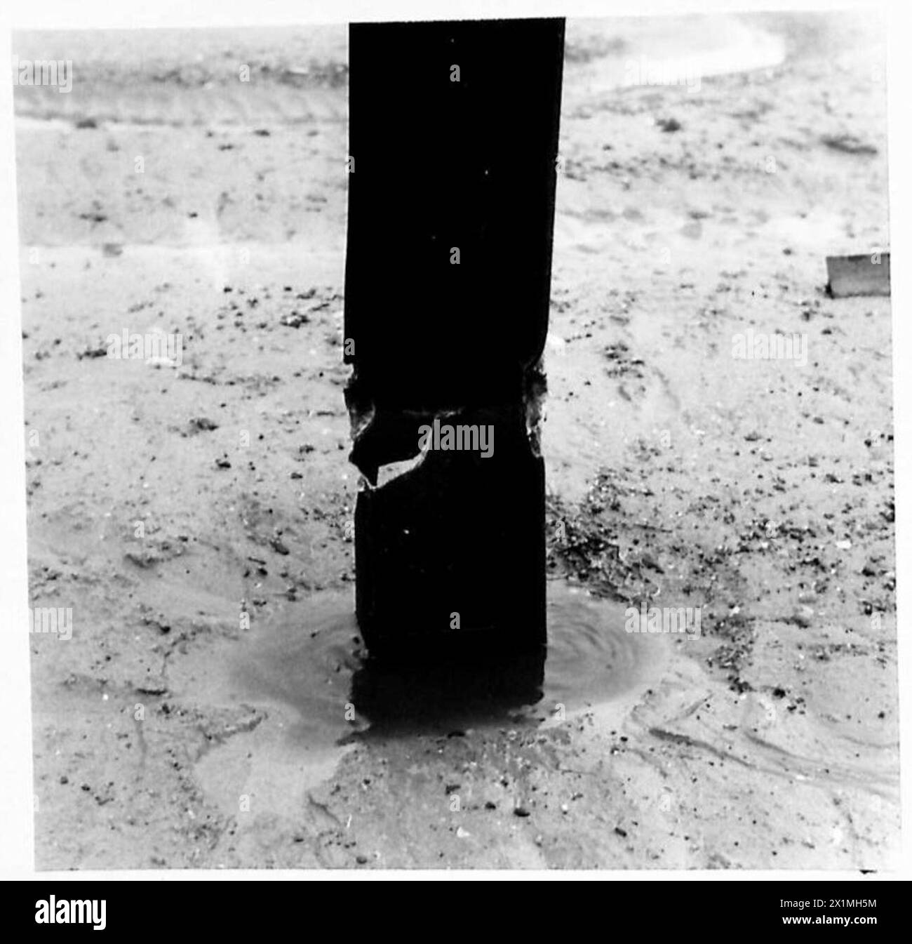 SPECIAL ASSIGNMENT FOR 79TH ARMOURED DIVISIONFLAIL TANKS - A.P. shell ...