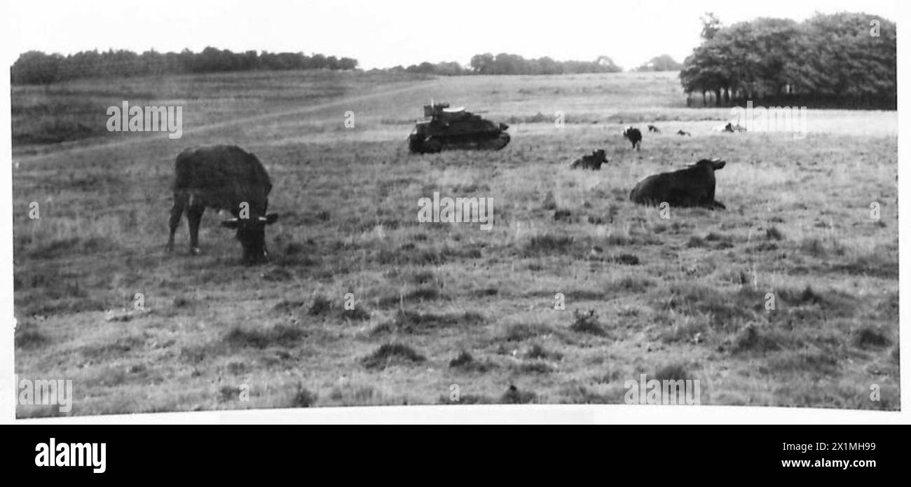 British Army conducts combined exercises with tanks, artillery, and ...