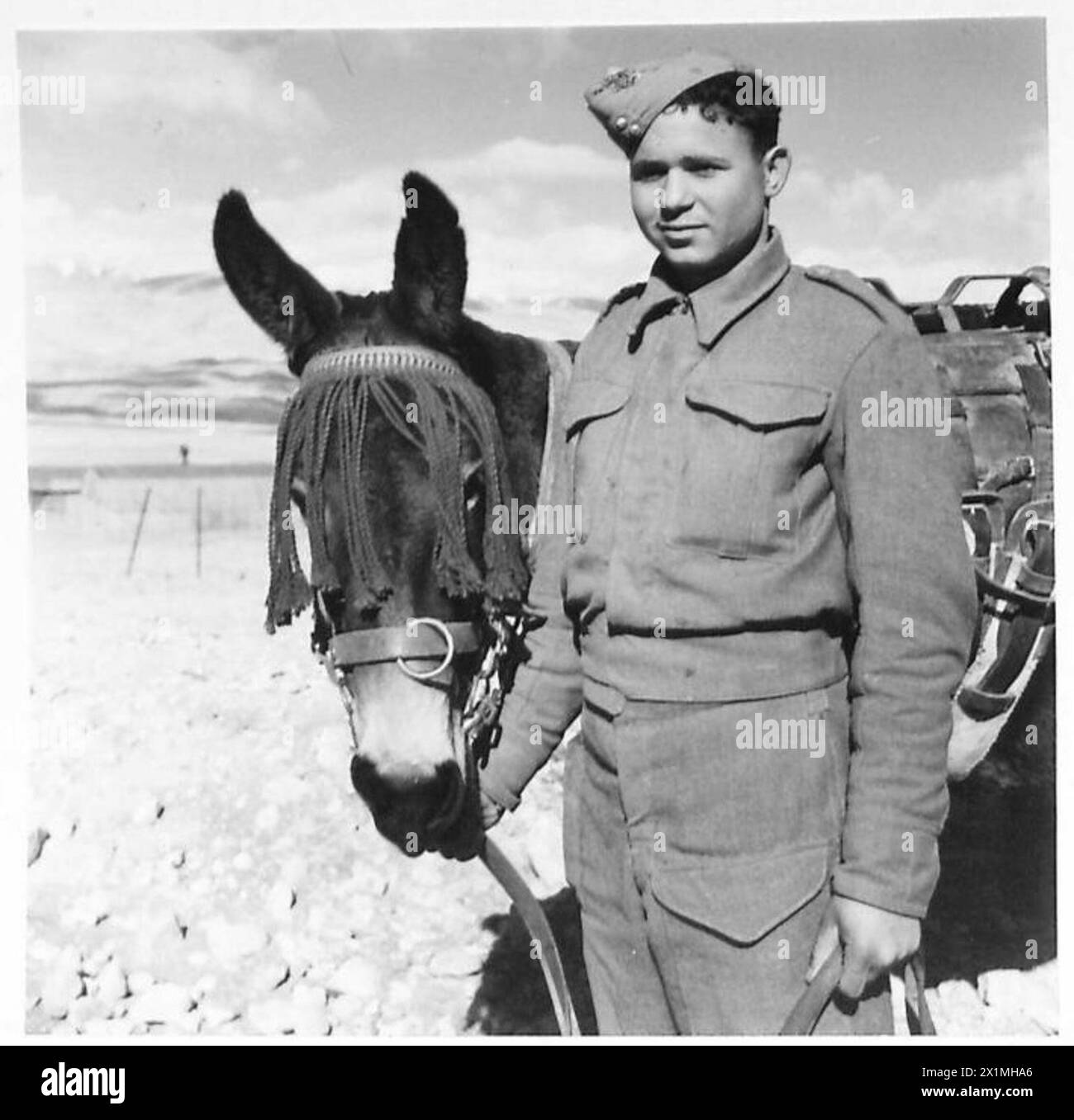 Teamwork in logistics Black and White Stock Photos & Images - Alamy