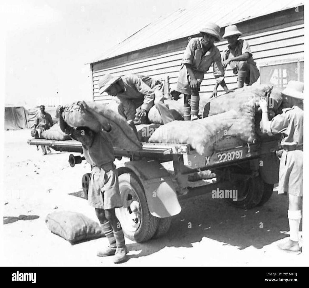 FEEDING THE TROOPS IN THE WESTERN DESERT - Loading the lorry with potatoes for the troops in the ...