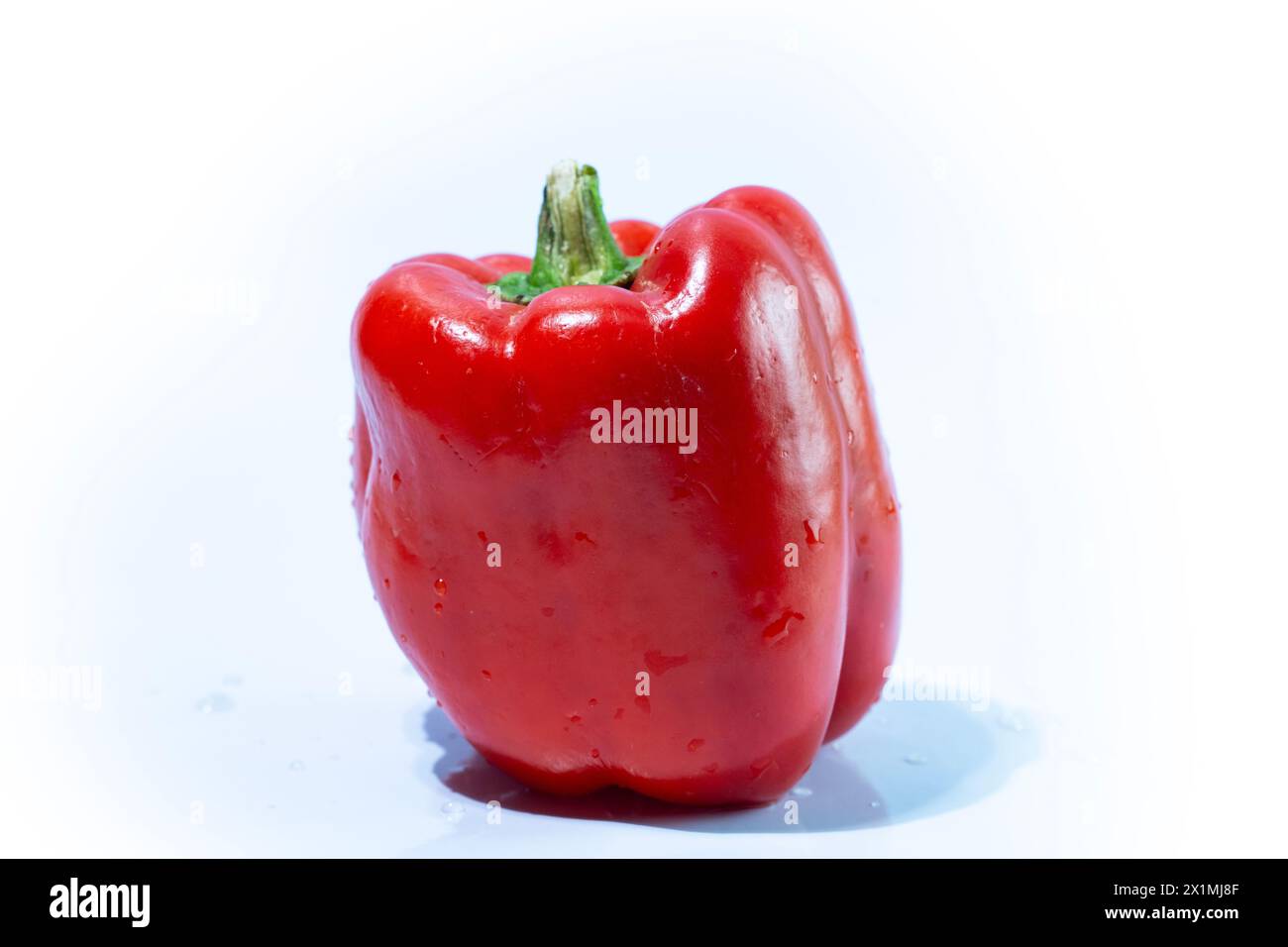 Red Capsicum on white background Stock Photo - Alamy
