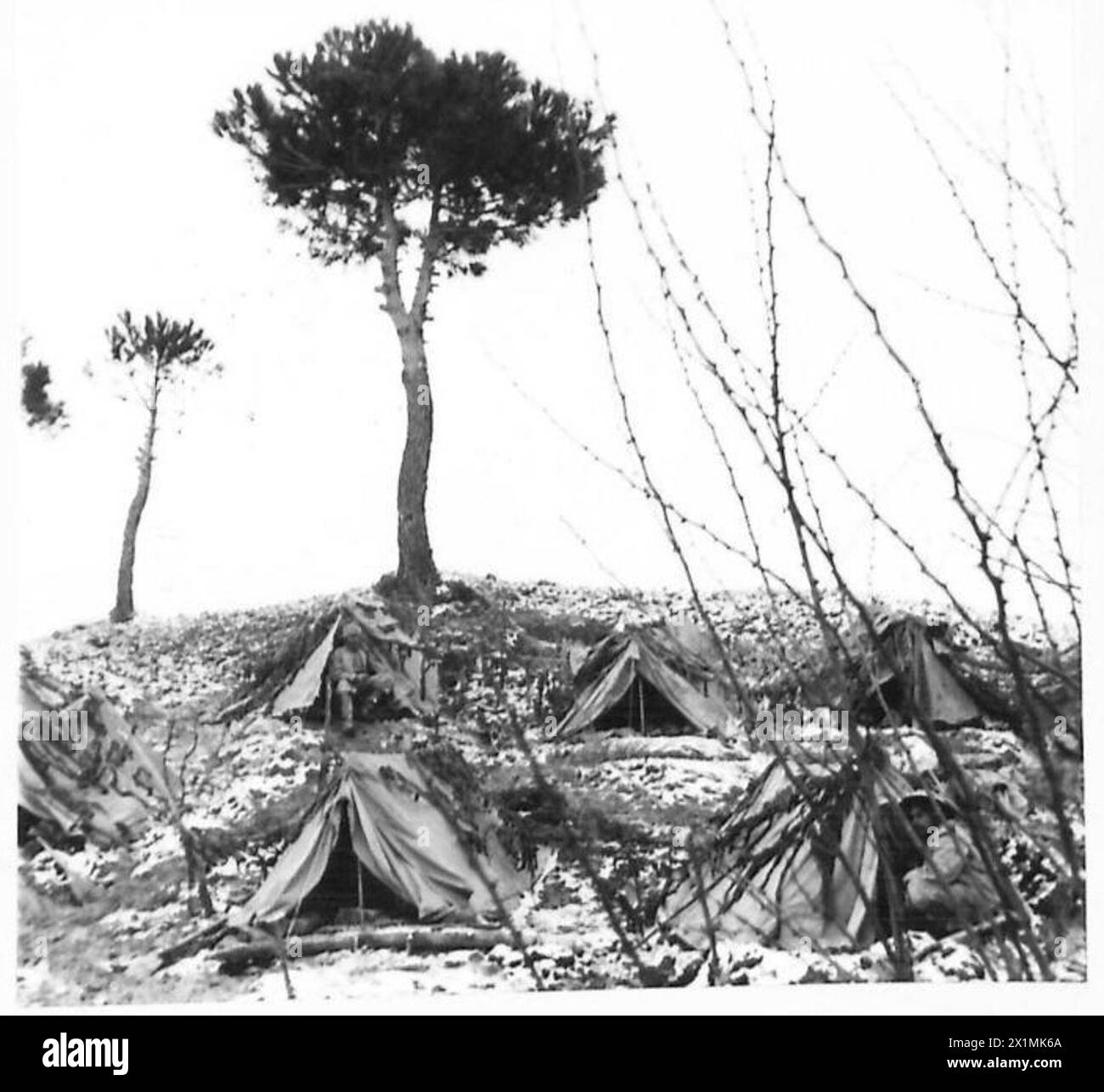 Hillside management Black and White Stock Photos & Images - Alamy