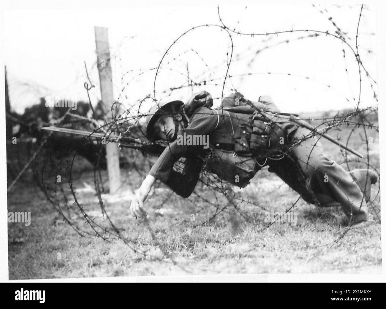 Barbed wire entanglement hi-res stock photography and images - Alamy