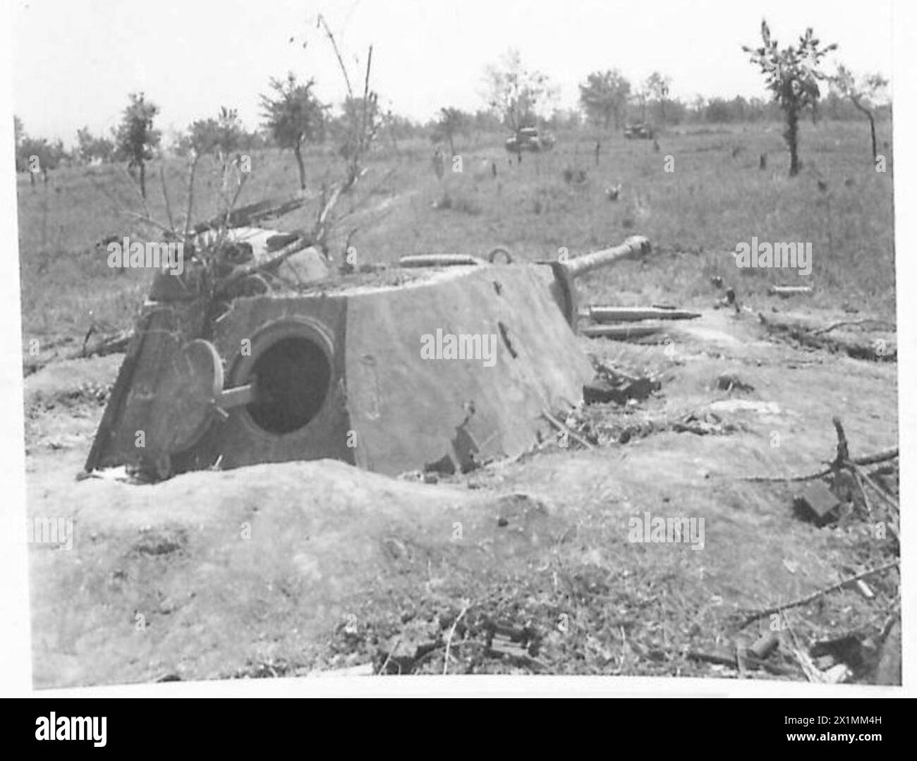 7319 Cut Out Stock Images & Pictures - Alamy