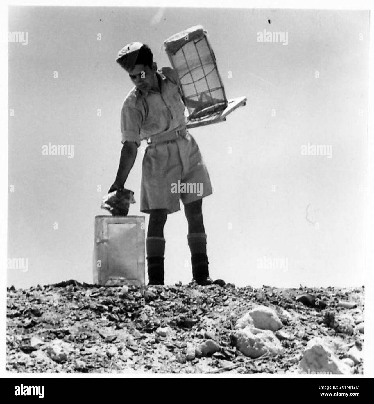 Tin pest hi-res stock photography and images - Alamy