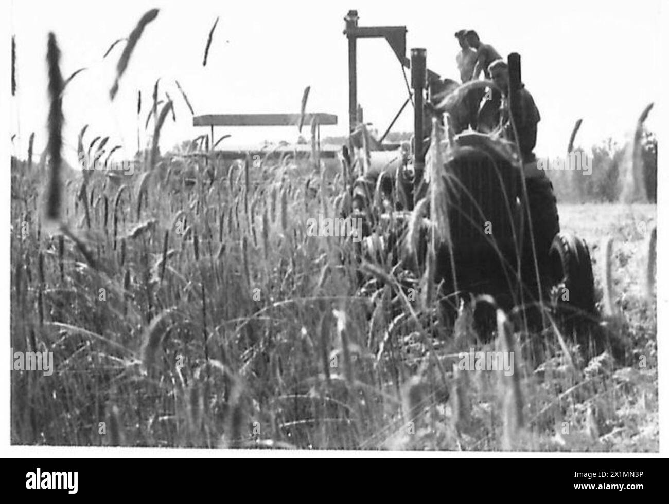 Soldiers operate a combined harvester during the corn gathering ...