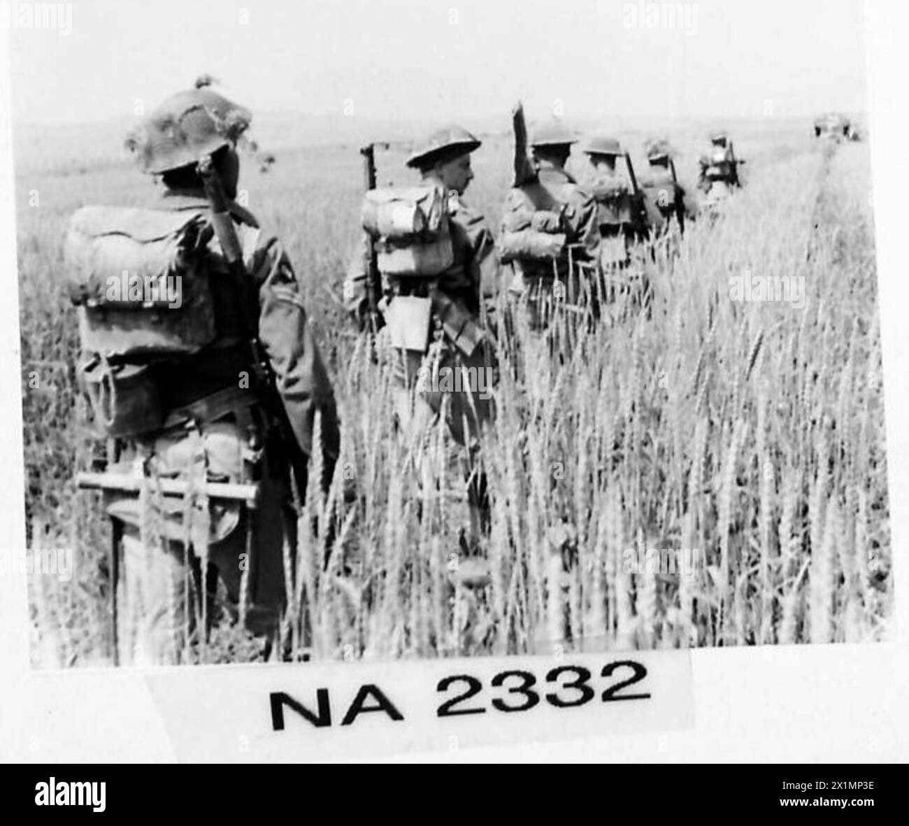Men of the 2nd Battalion Coldstream Guards advance across a cornfield ...