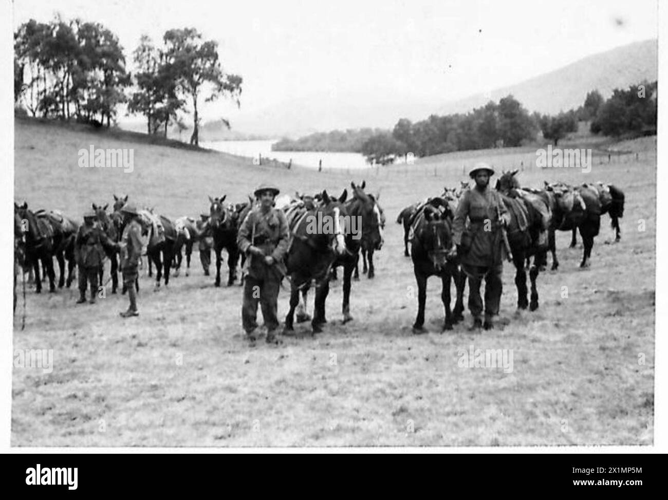 Indian personnel of the Royal Indian Army Service Corps harness and ...