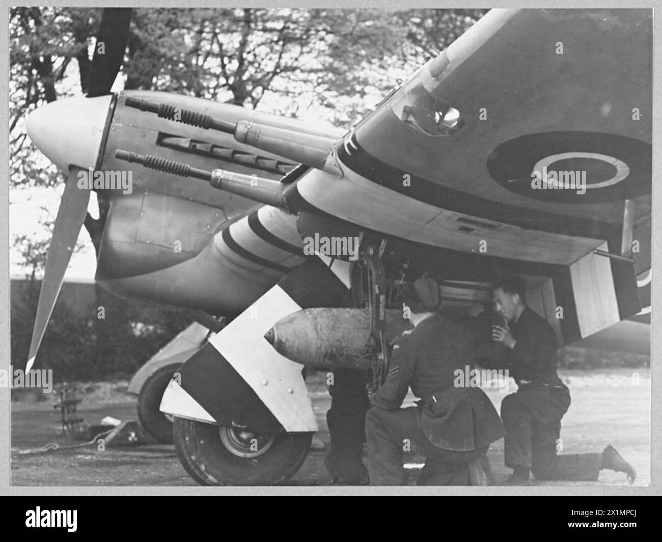 THE TYPHOON AS FIGHTER-BOMBER - (Picture issued 1943) The R.A.F. latest ...