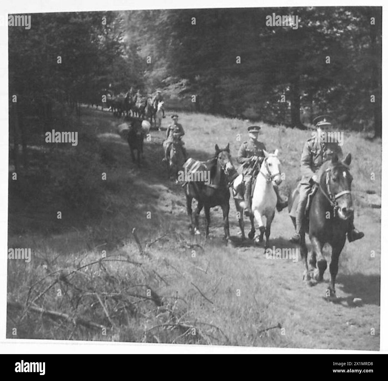 Pack horses are exercised and prepared for service with a Remount ...