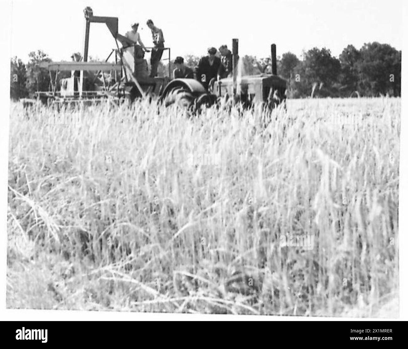 SOLDIERS GATHER IN THE HARVEST - A civilian tractors driver, runs over ...