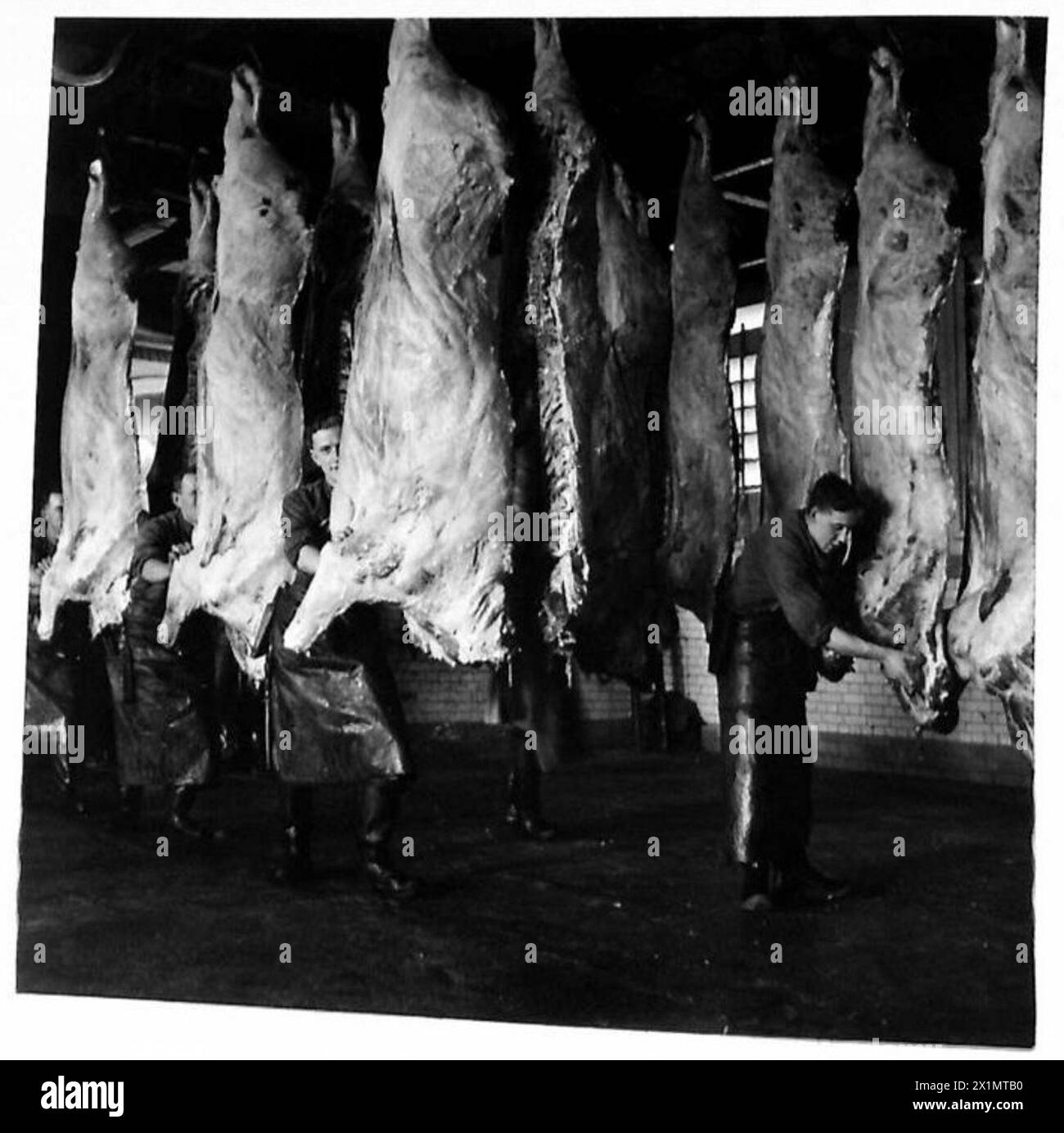 Distribution centres Black and White Stock Photos & Images - Alamy