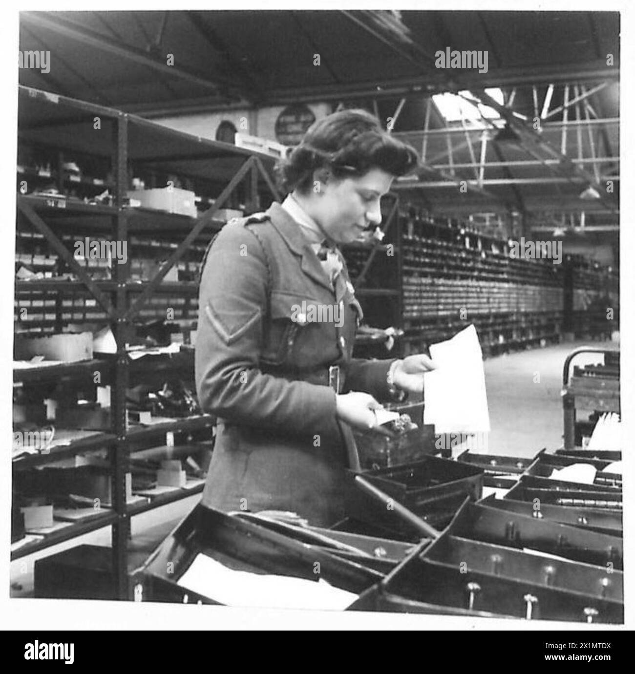 Military personnel check Cut Out Stock Images & Pictures - Alamy