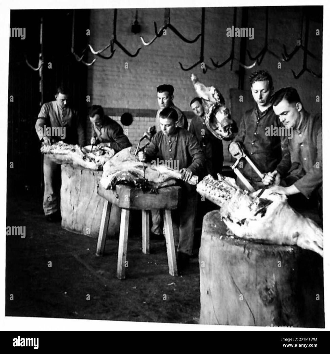Army butchers prepare meat hi-res stock photography and images - Alamy