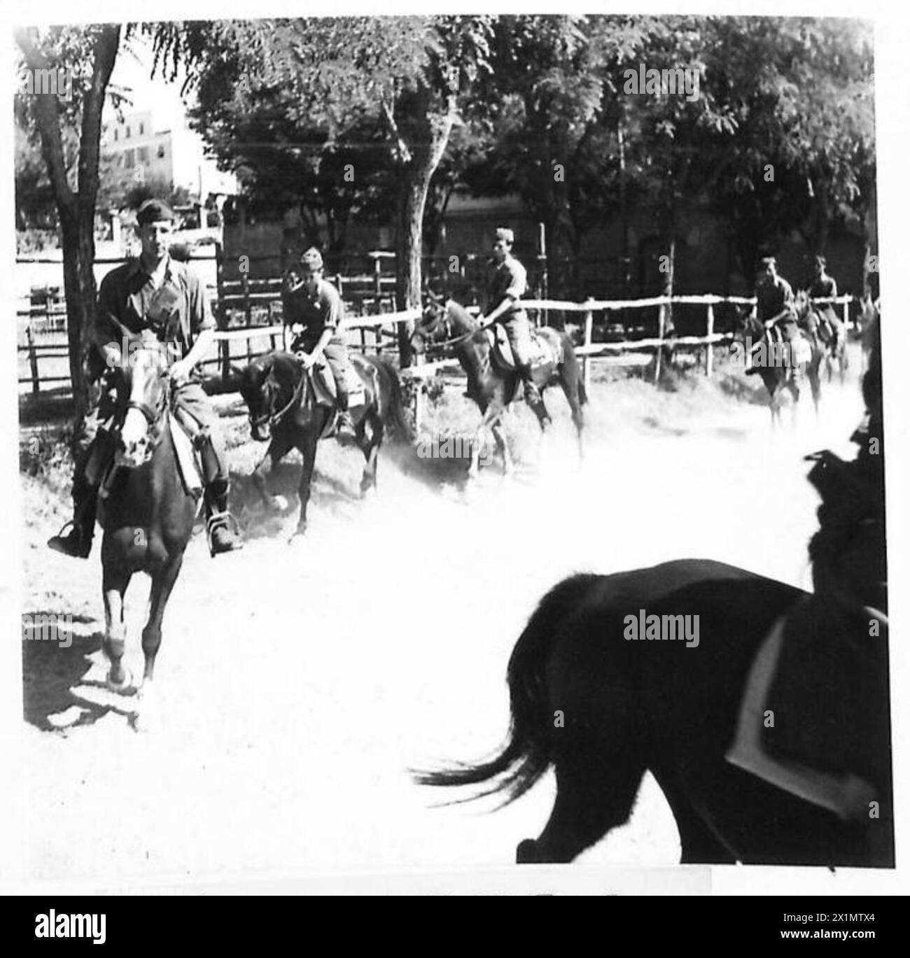 Police horses in Rome are trained by skilled riders as part of ...