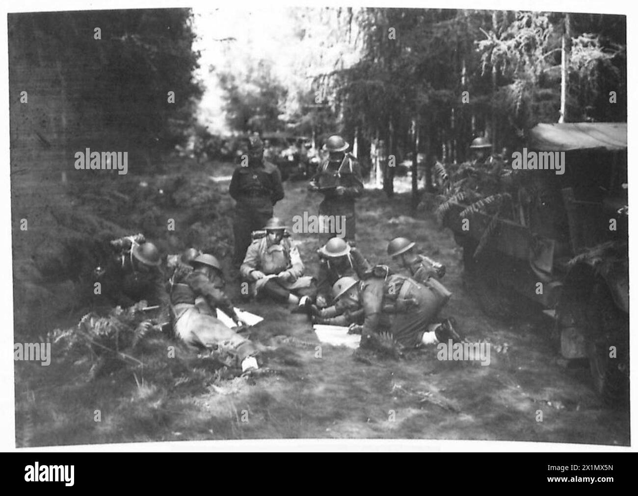 44th division Cut Out Stock Images & Pictures - Alamy