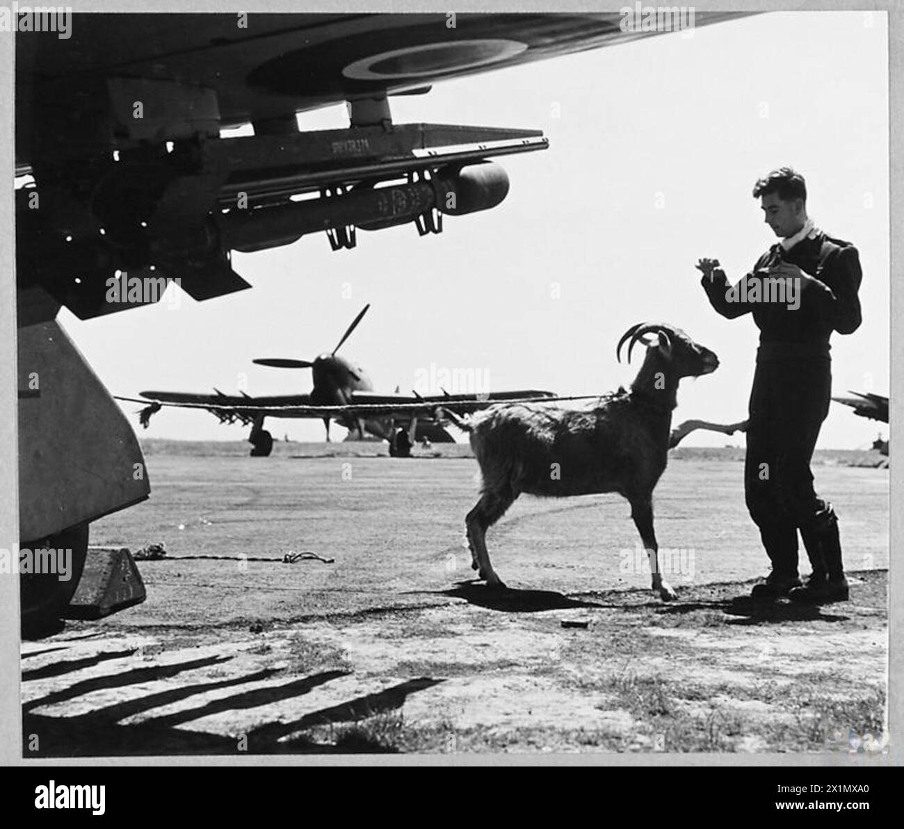 LIBERATION OF EUROPE : ROCKET PROJECTILE TYPHOONS : ATTACK ENEMY RADIO ...