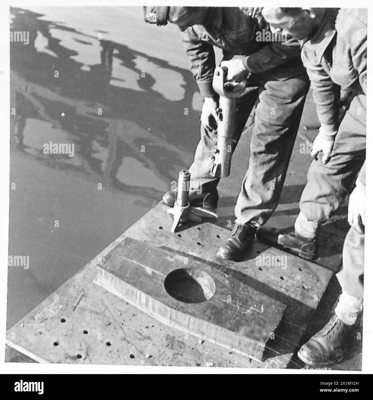 Whale zone Cut Out Stock Images & Pictures - Alamy