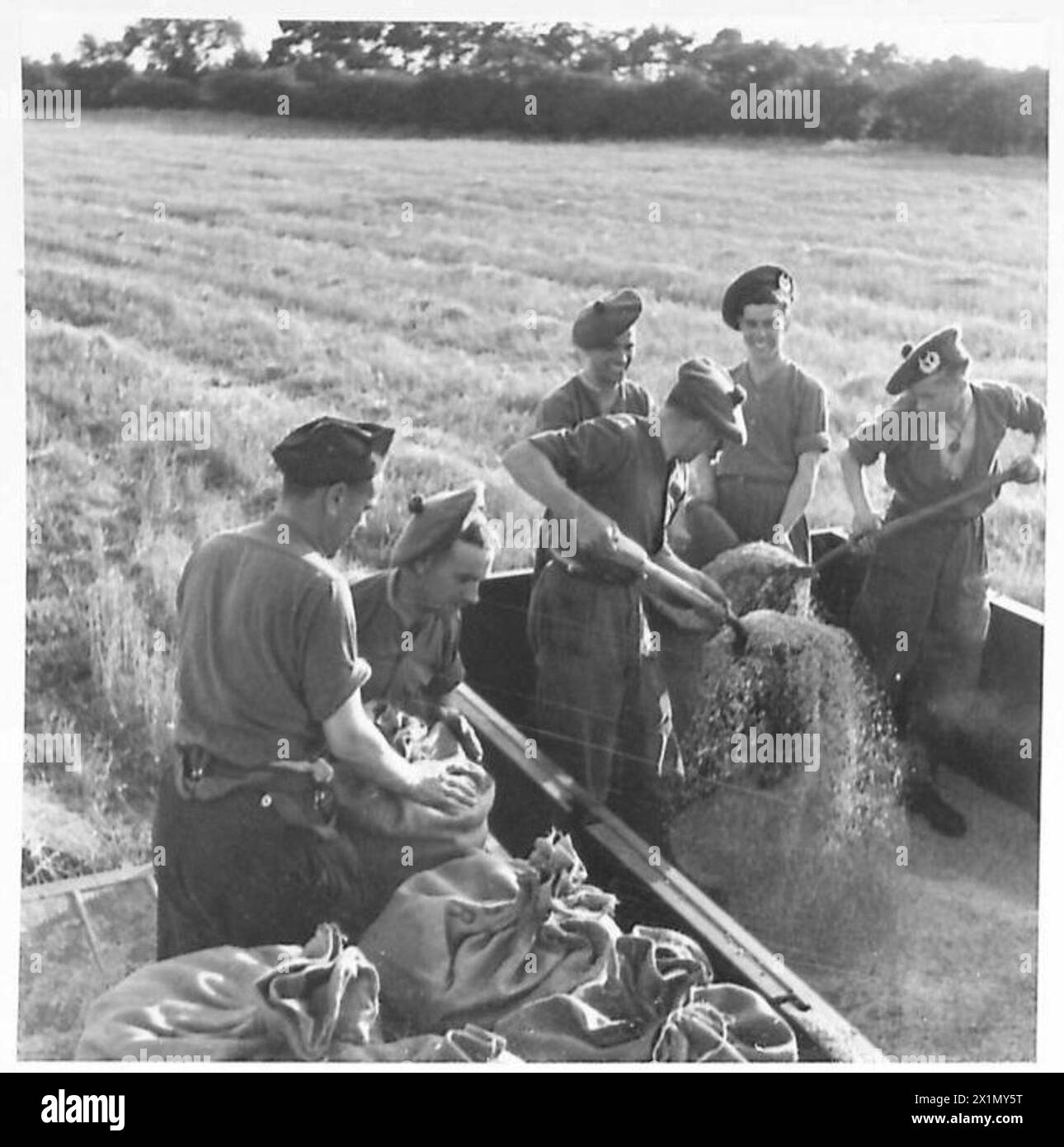 SOLDIERS GATHER IN THE HARVEST - Grain brought from the harvester in a ...