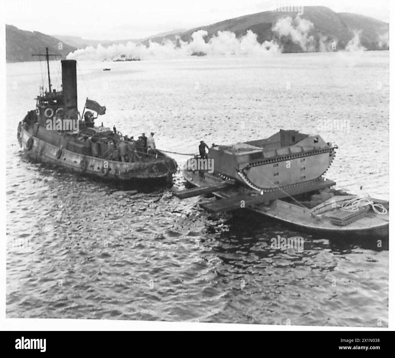 British amphibian Cut Out Stock Images & Pictures - Alamy