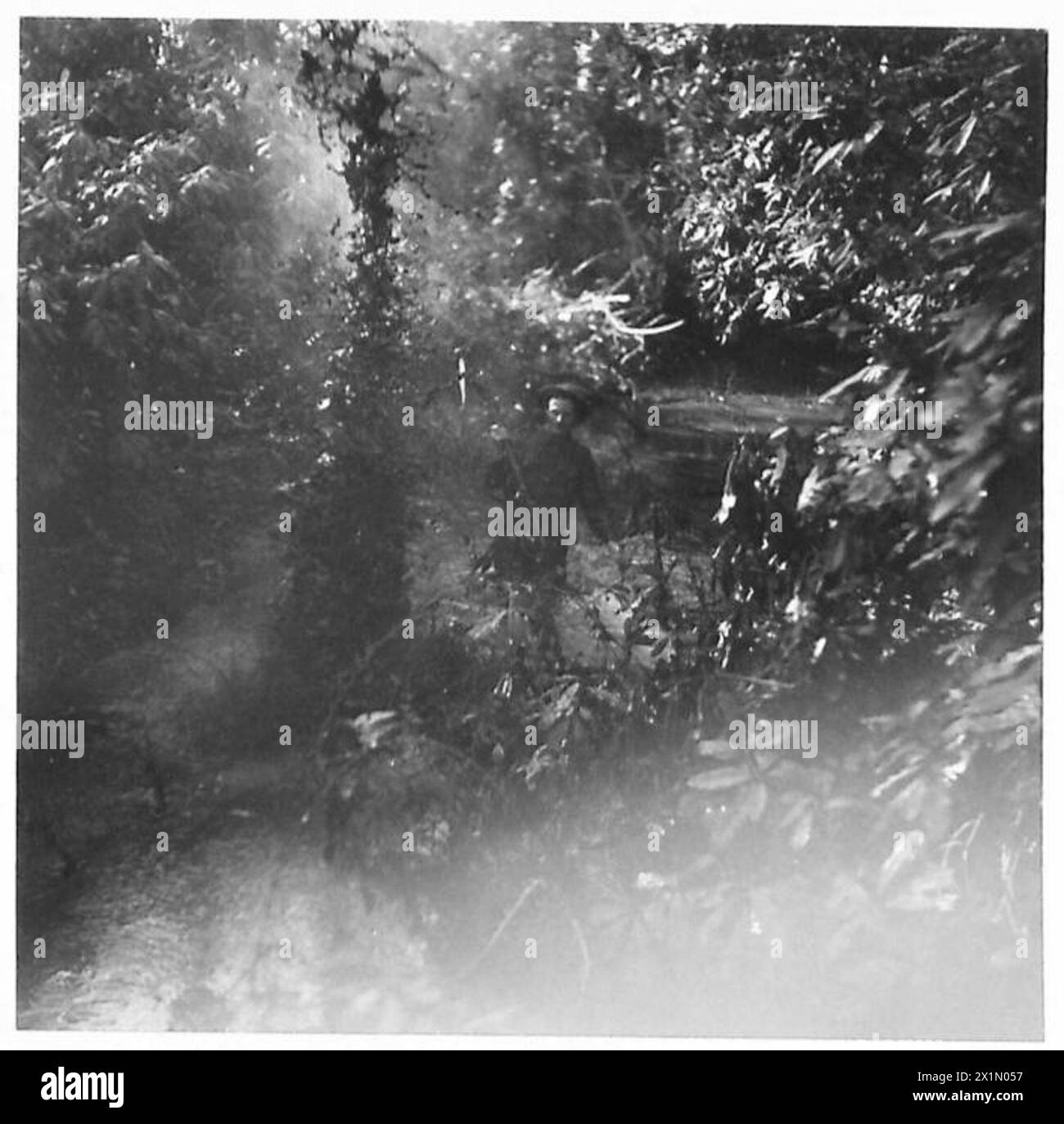 Army mud training hi-res stock photography and images - Alamy